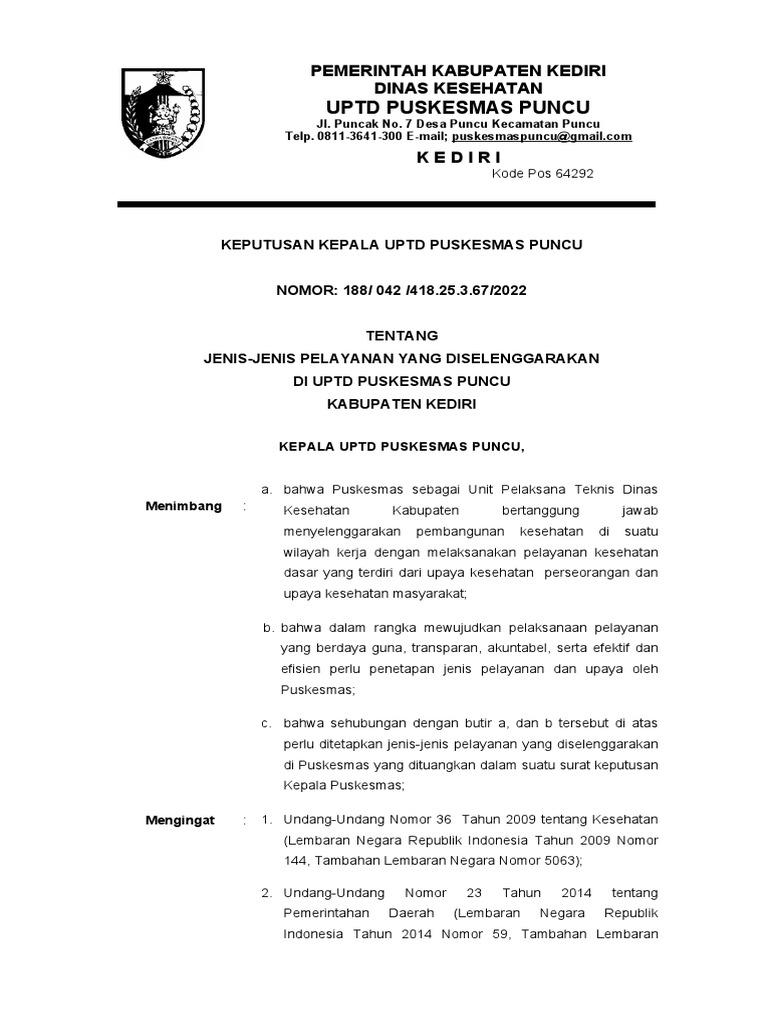 SK Jenis Jenis Pelayanan 2022 Edit | PDF