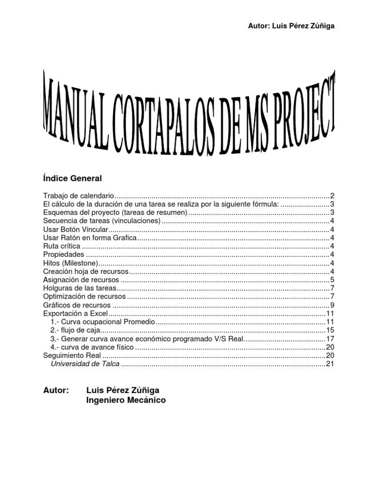 Project Manual Cortapalos | PDF | Point and Click | Microsoft Excel