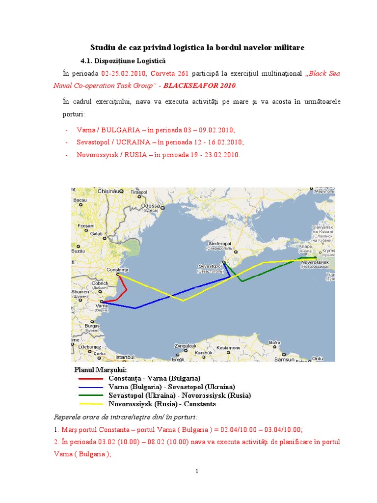 Studiu de Caz (Model) | PDF