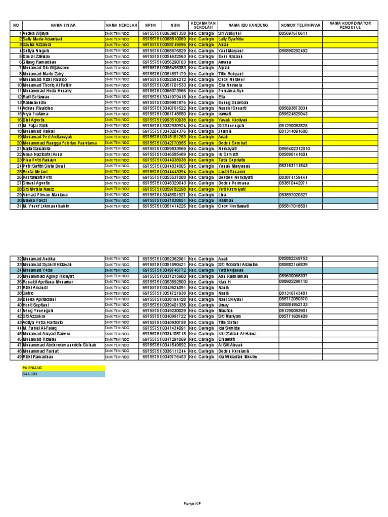 Format Usulan PIP | PDF