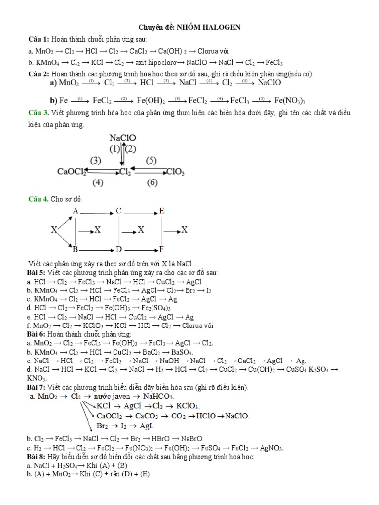 SƠ Đ PH N NG Halogen | PDF