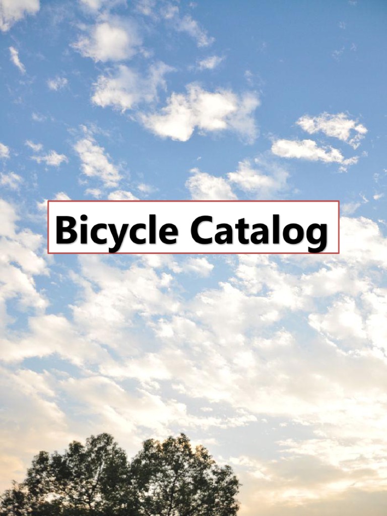 Bicycle Catalog 2021 | PDF