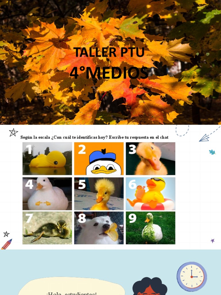 PTU- LENGUAJE- DE QUÉ TRATA | PDF | Comprensión lectora | Neurociencia