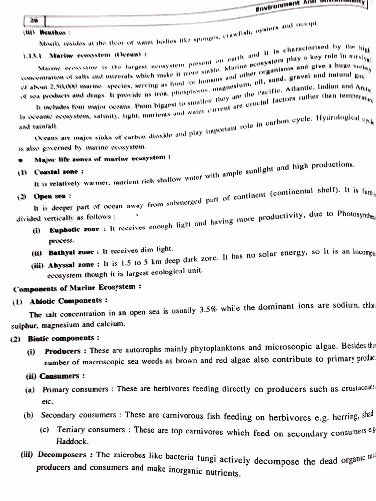 ES Chapter 1 Part 2 | PDF