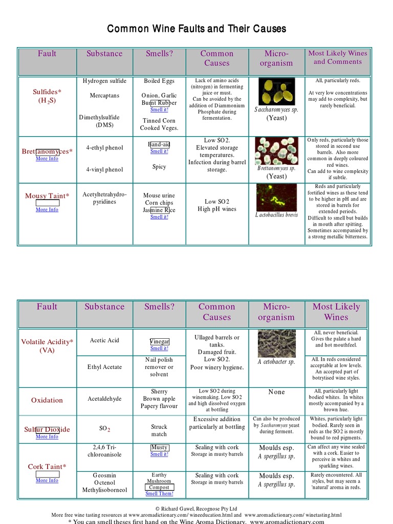 Wine Faults | Download Free PDF | Wine | Vitis