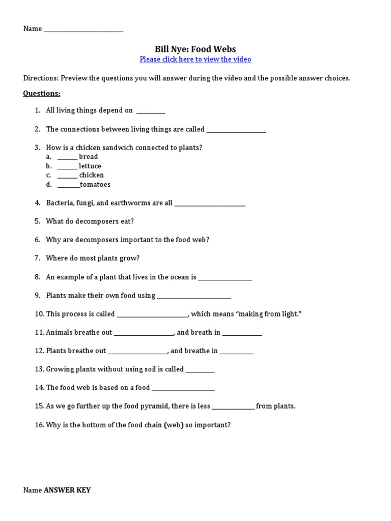 Bill Nye: Food Webs: Questions | PDF | Plants | Food Web