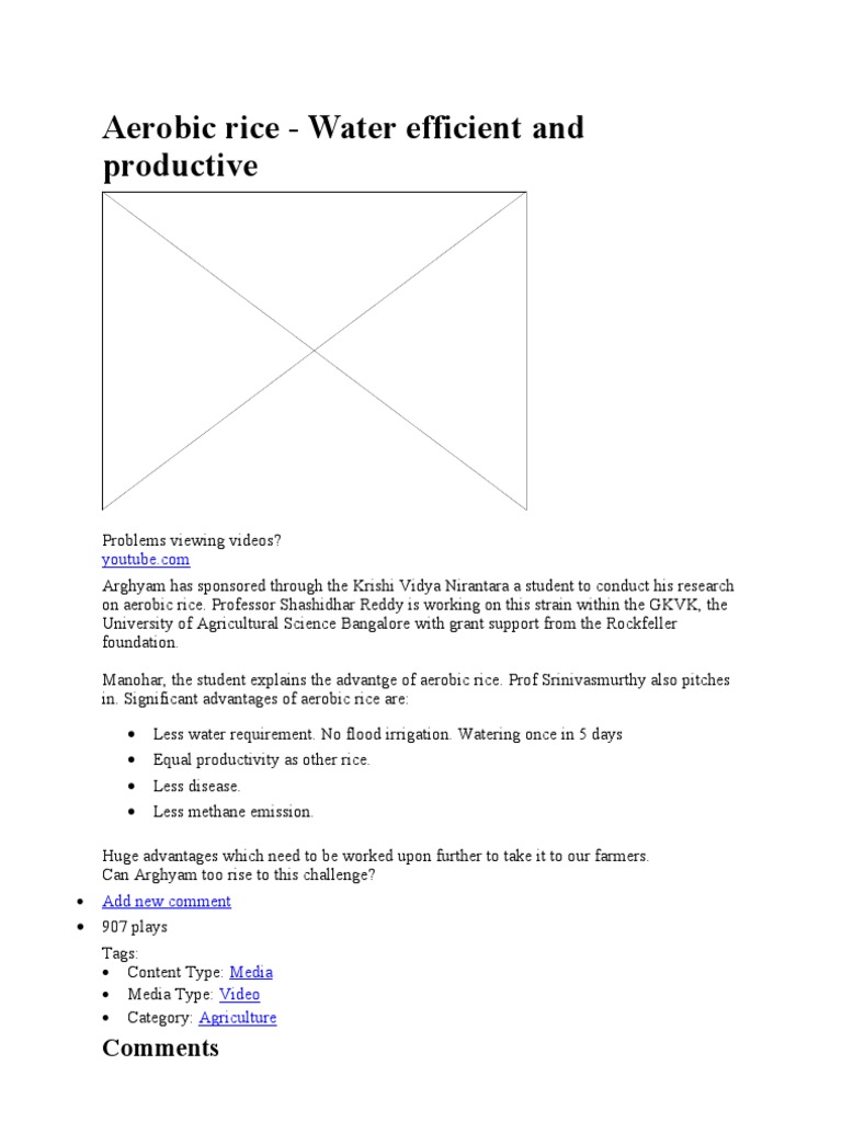Aerobic Rice | PDF | Rice | Soybean