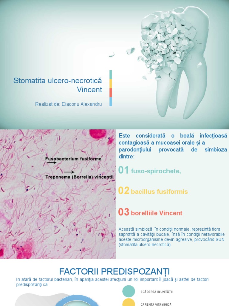 25 Stomatita Ulcero-Necrotică Vincent | PDF