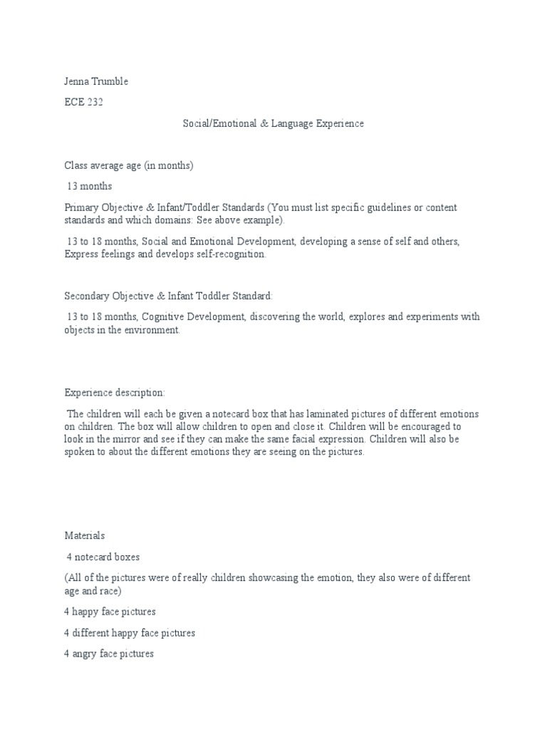 Ece 232 Social Emotional Experience | PDF | Emotions | Experience