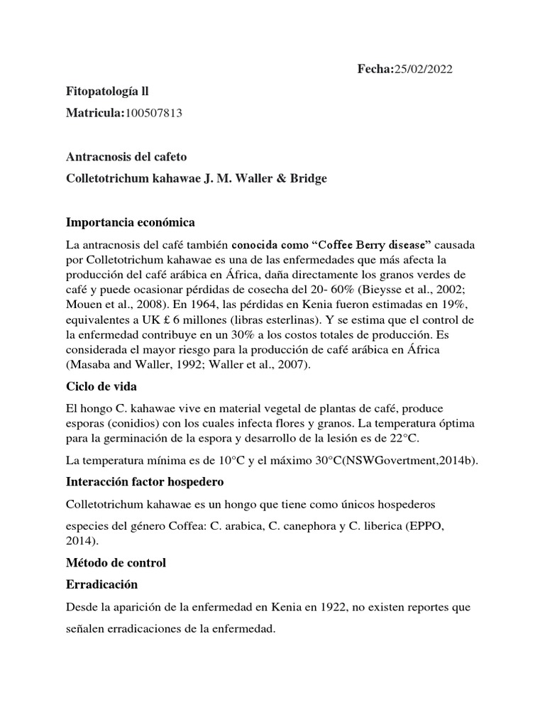 Antracnosis Del Cafeto (Jean Romer D) | PDF | café | Organismos