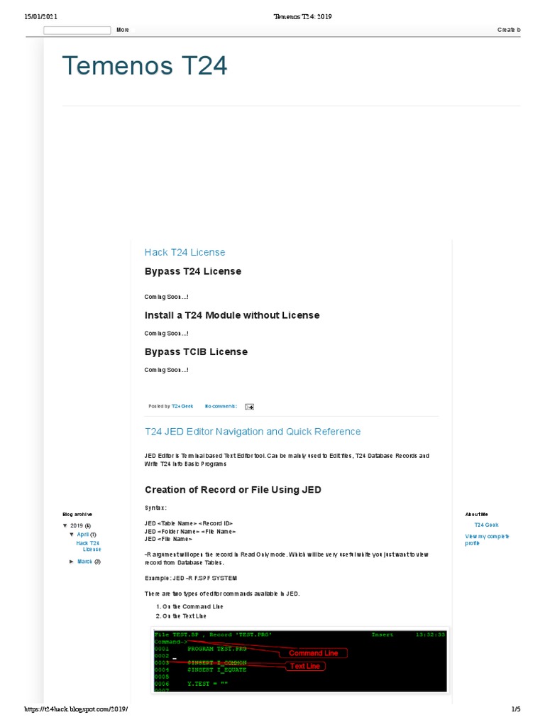 T24 Editor Commands | PDF | Secure Shell | Command Line Interface