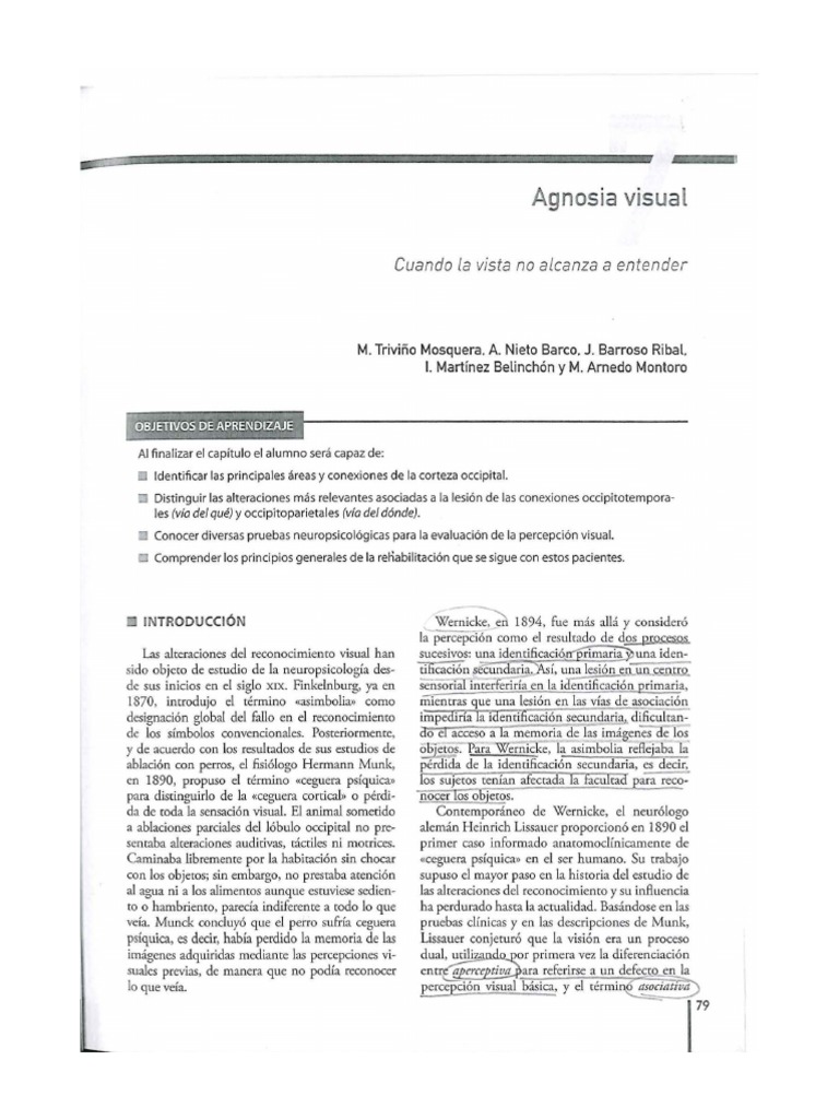Caso 5 Agnosia Visual | PDF
