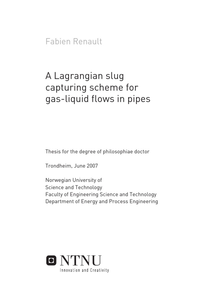 A Lagrangian Slug Capturing Scheme For Gas-Liquid Flows in Pipes | PDF | Fluid Dynamics | Gases
