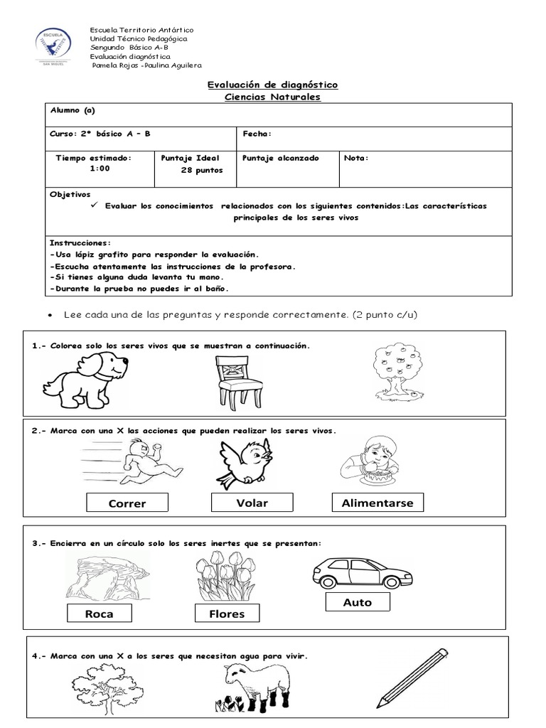 Prueba de Diagnostico 2 Basico Ciencias | PDF