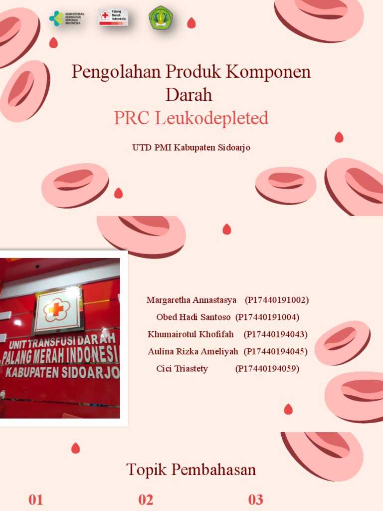 Pengolahan PRC Leukodepleted di Sidoarjo | PDF
