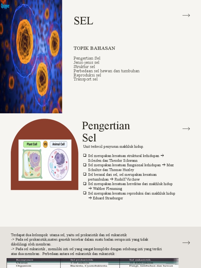 Topik Bahasan: Pengertian Sel Jenis-Jenis Sel Struktur Sel Perbedaan Sel Hewan Dan Tumbuhan ...