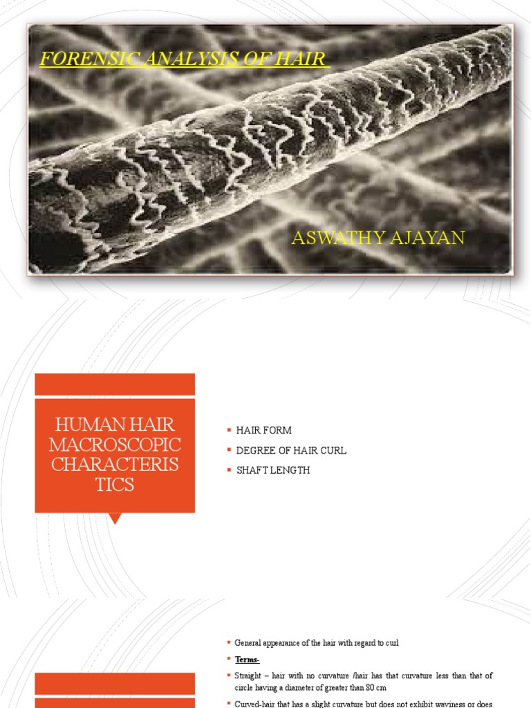 Forensic Analysis of HAir-macroscopic and Microscopic Characteristics | PDF