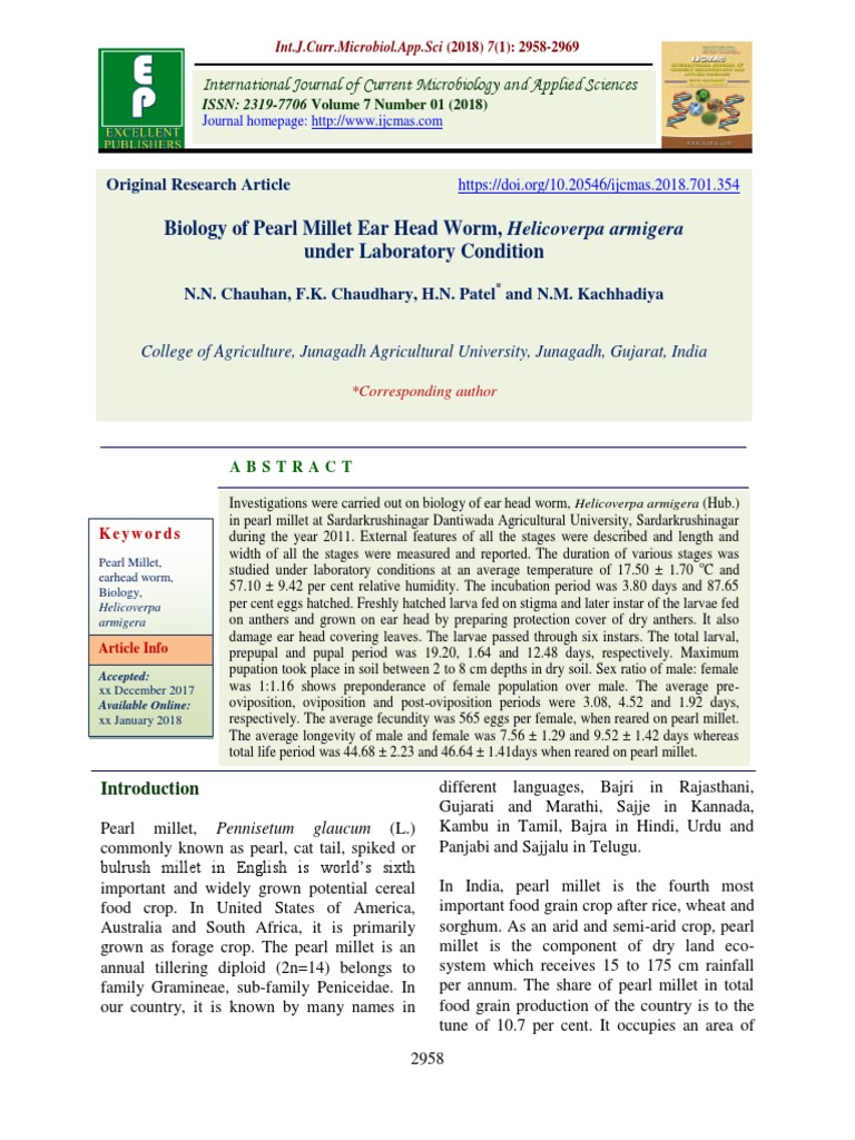 Biology of Pearl Millet Ear Head Worm, Helicoverpa Armigera | PDF | Pupa