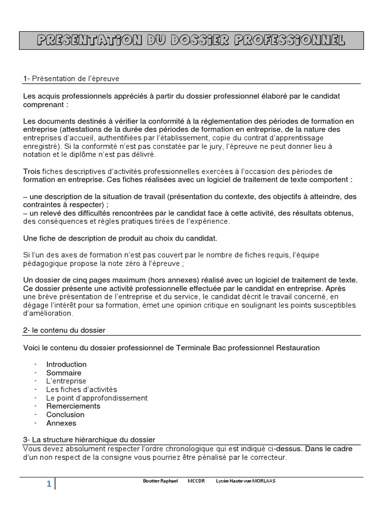 Comment Réaliser Un Dossier Professionnel MCCDR | PDF