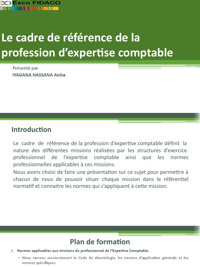 Présentation Cadre de Référence de La Profession | PDF