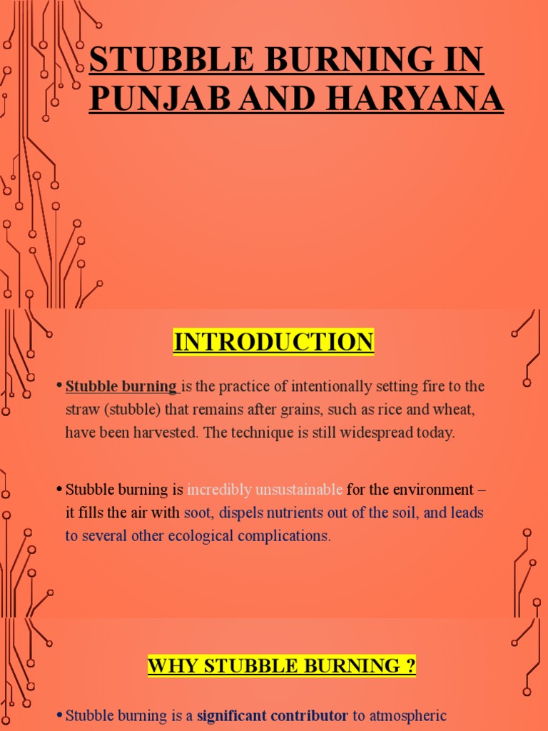 Problem Solving Stubble Burning | PDF | Air Pollution | Soil