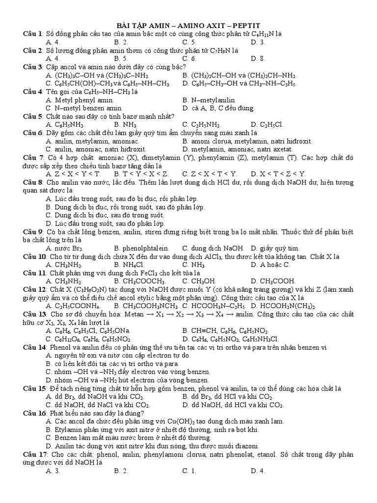 Amin Aminoaxit Peptit | PDF