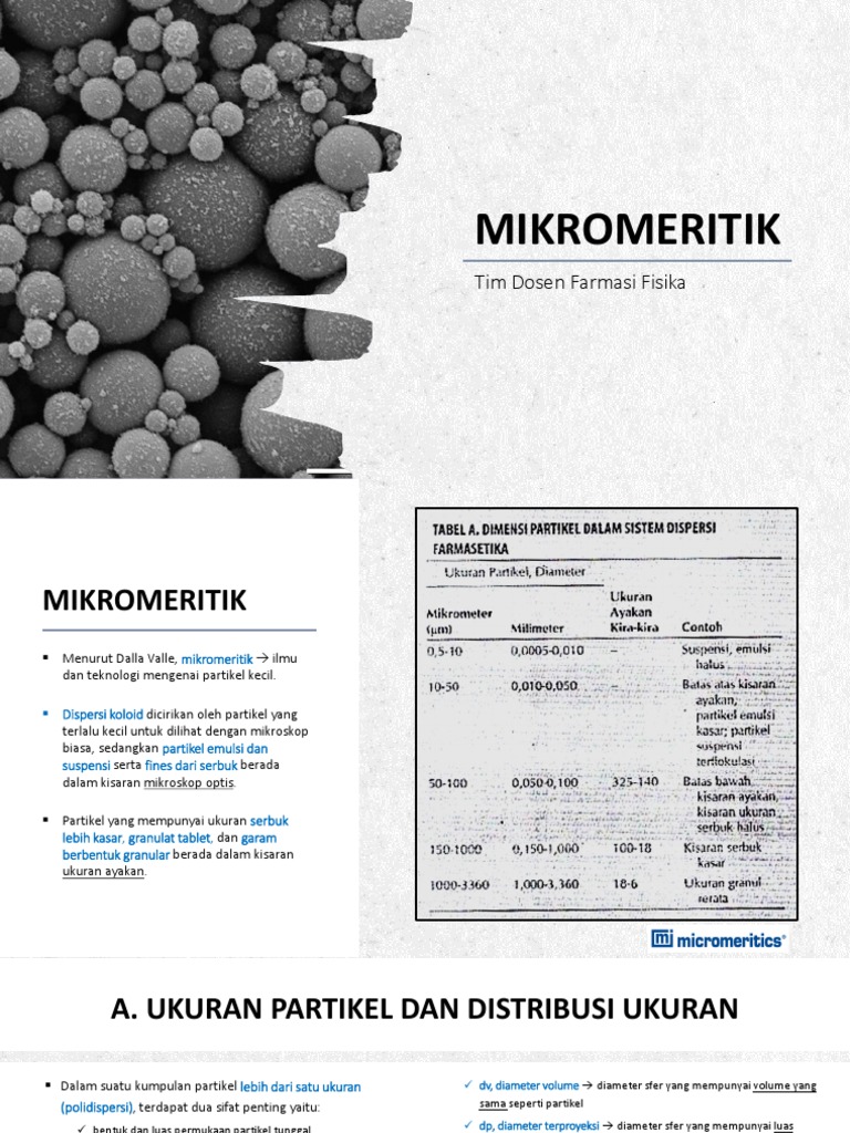 Mikromeritik 2021 | PDF