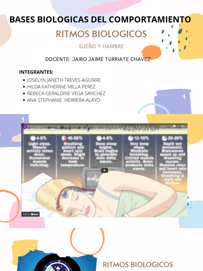 RITMOS BIOLOGICOS - Exposicion | PDF | Movimiento rápido del ojo Sueño ...