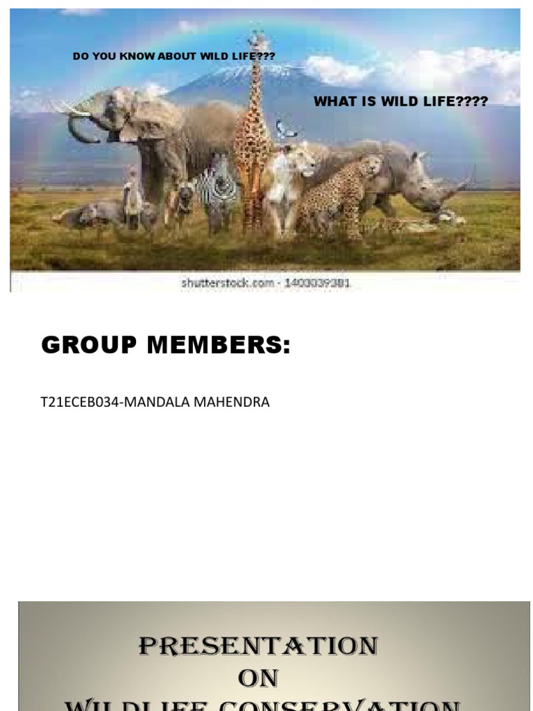 Wildlife | PDF | Wildlife | Protected Area