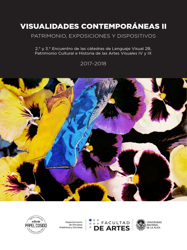 Visualidades Contemporaneas 2 | PDF