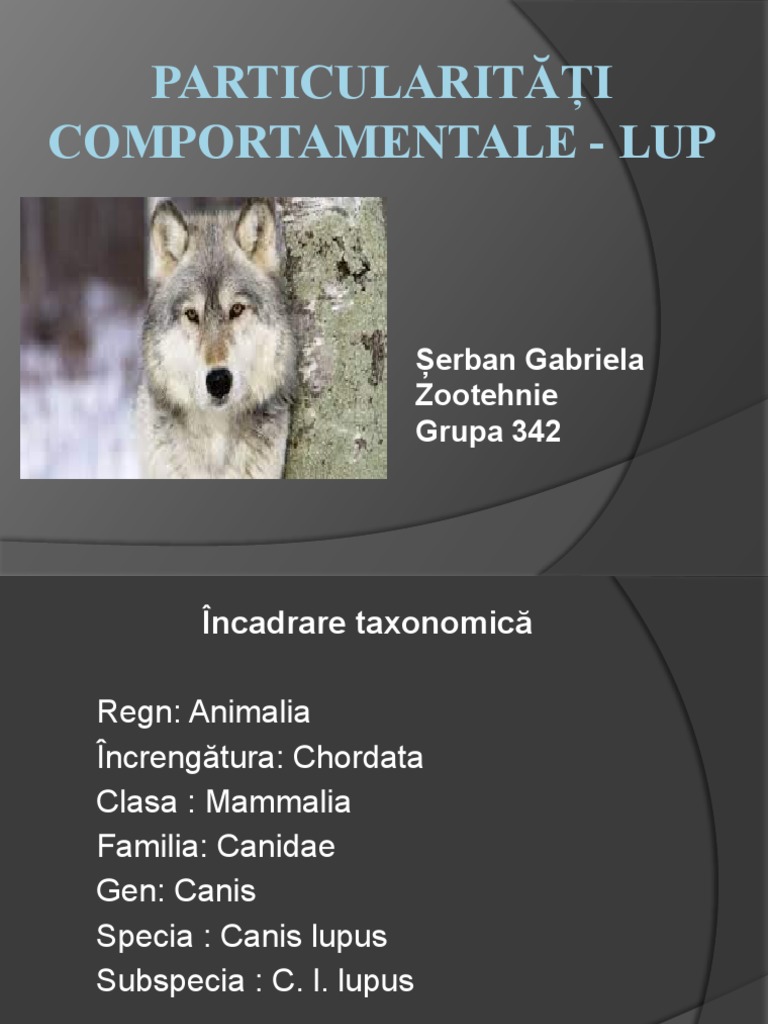 Etologie - Comportament Lup | PDF