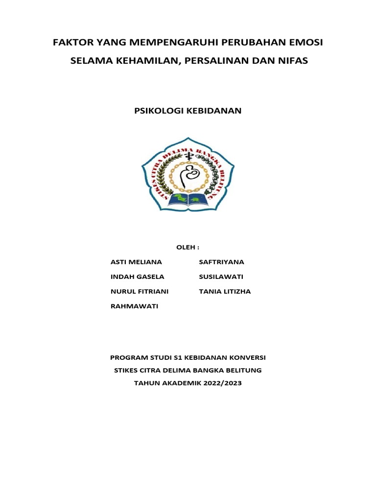 Faktor Yg Mempengaruhi Perubahan Emosi Pada Bumil, Bulin, Bufas | PDF