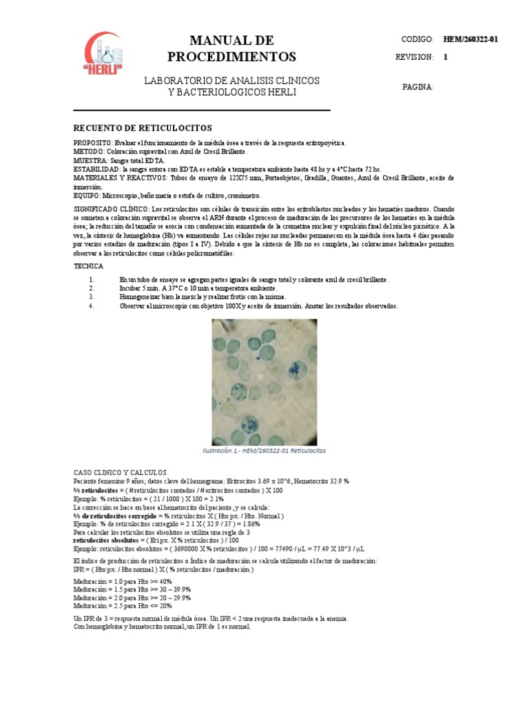 Recuento de Reticulocitos | PDF | Células | Medicina CLINICA
