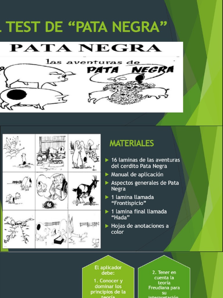 Test de La Pata Negra | PDF