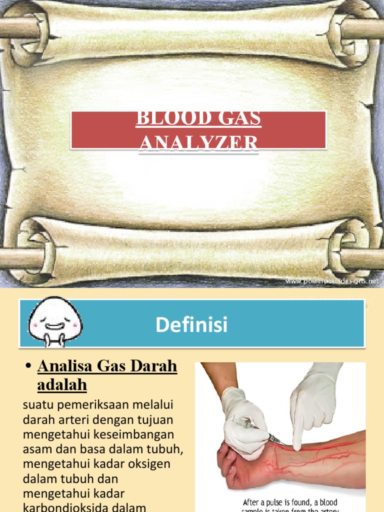 Blood Gas Analyzer | PDF