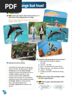 Sample Unit 4 Life Preintermediate PDF | PDF | Linguistics | Grammar