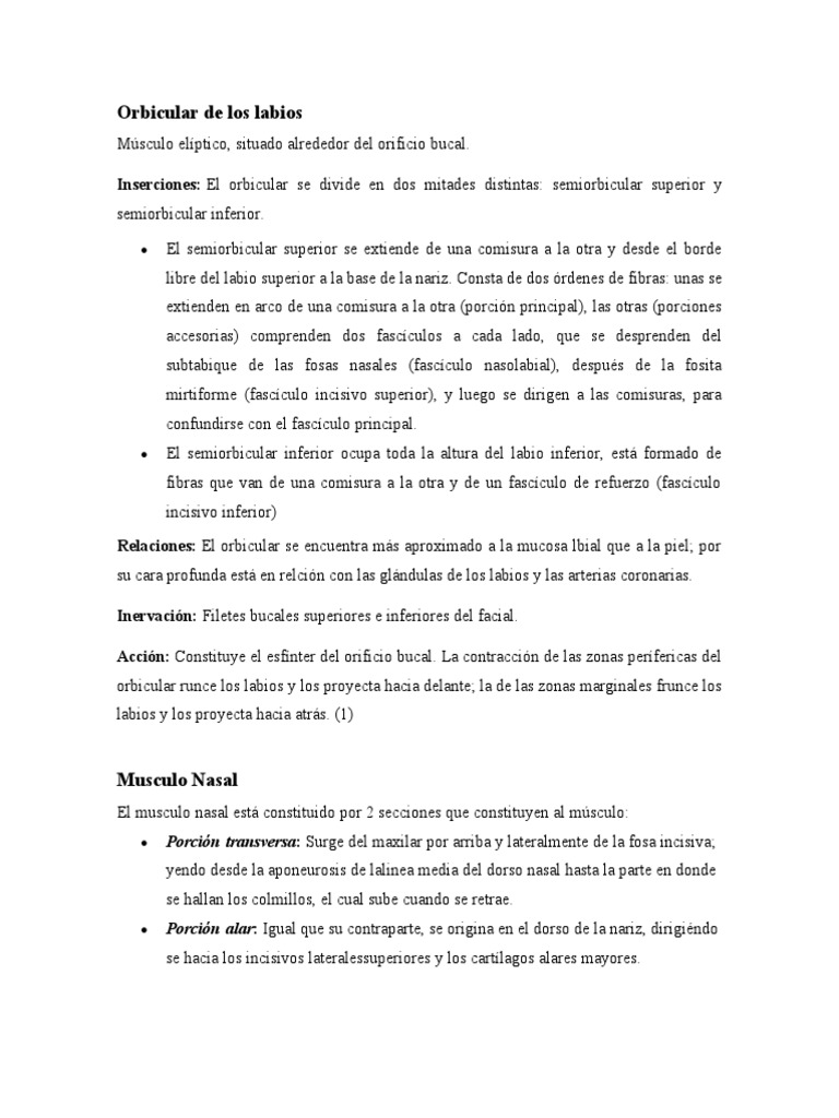 Musculo Nasal - Elevador Del Labio Superior y El Ala de La Nariz | PDF ...