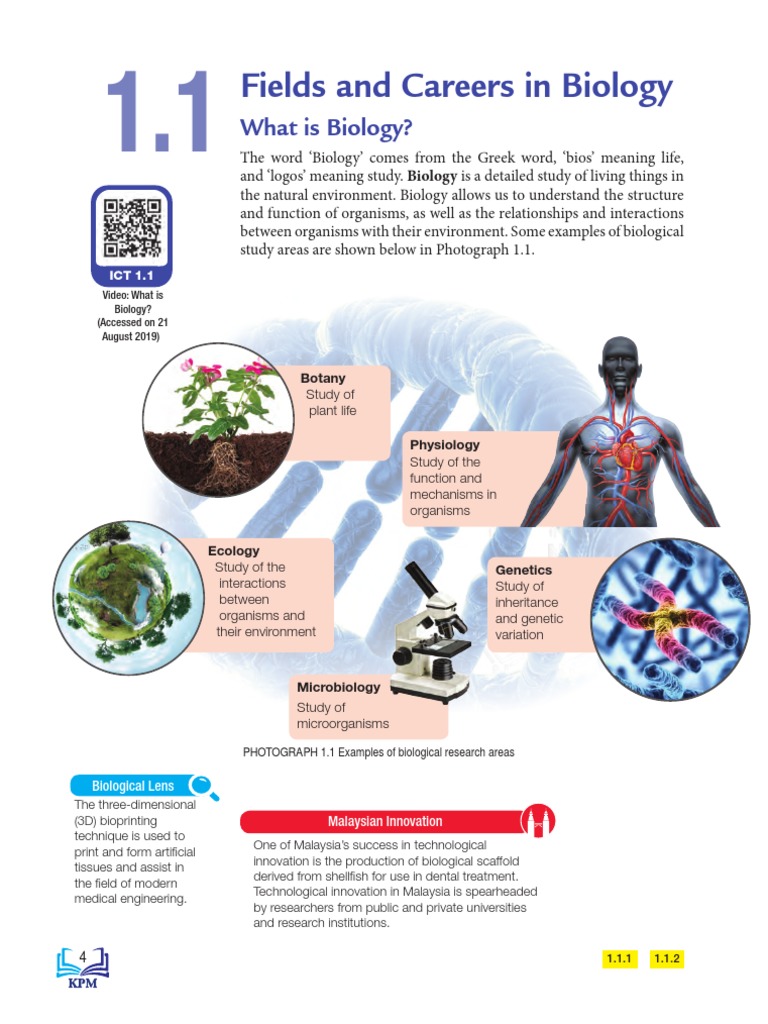 Careers and Fields in Biology | PDF | Anatomical Terms Of Location | Chart