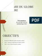 SCLERE Anatomie | PDF | Cornée | Anatomie