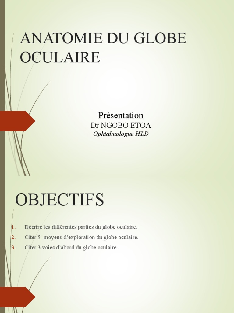 Anatomie Du Globe | PDF | Cornée | Caractéristiques faciales
