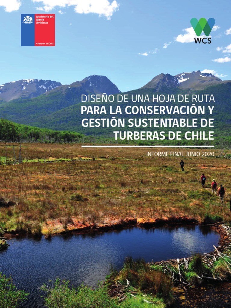 Hoja Ruta Turberas | PDF | Biodiversidad | Humedal