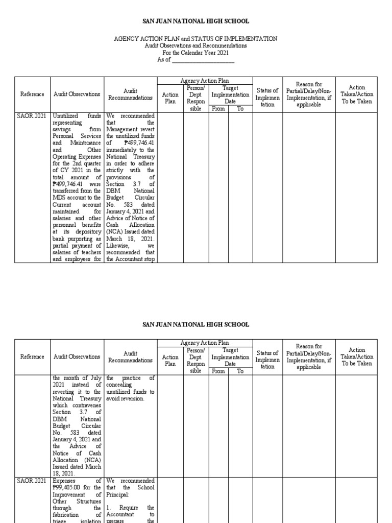 10-AAPSI 2021-San Juan | PDF | Audit | Economies