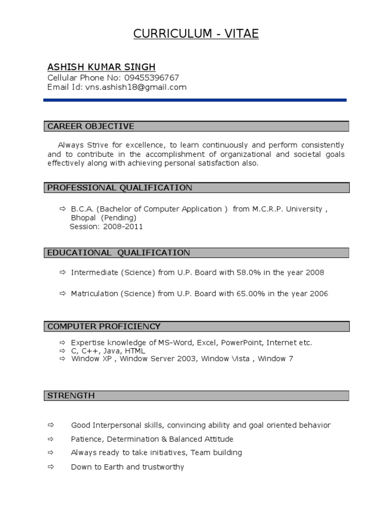 Ashish Resume | PDF