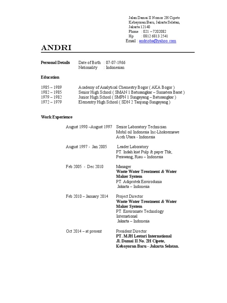 CV Andri | PDF