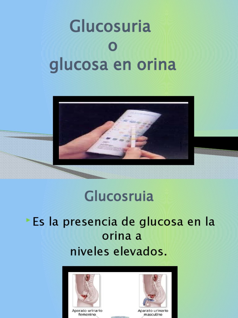 Glucosuria: Causas y Tratamientos | PDF