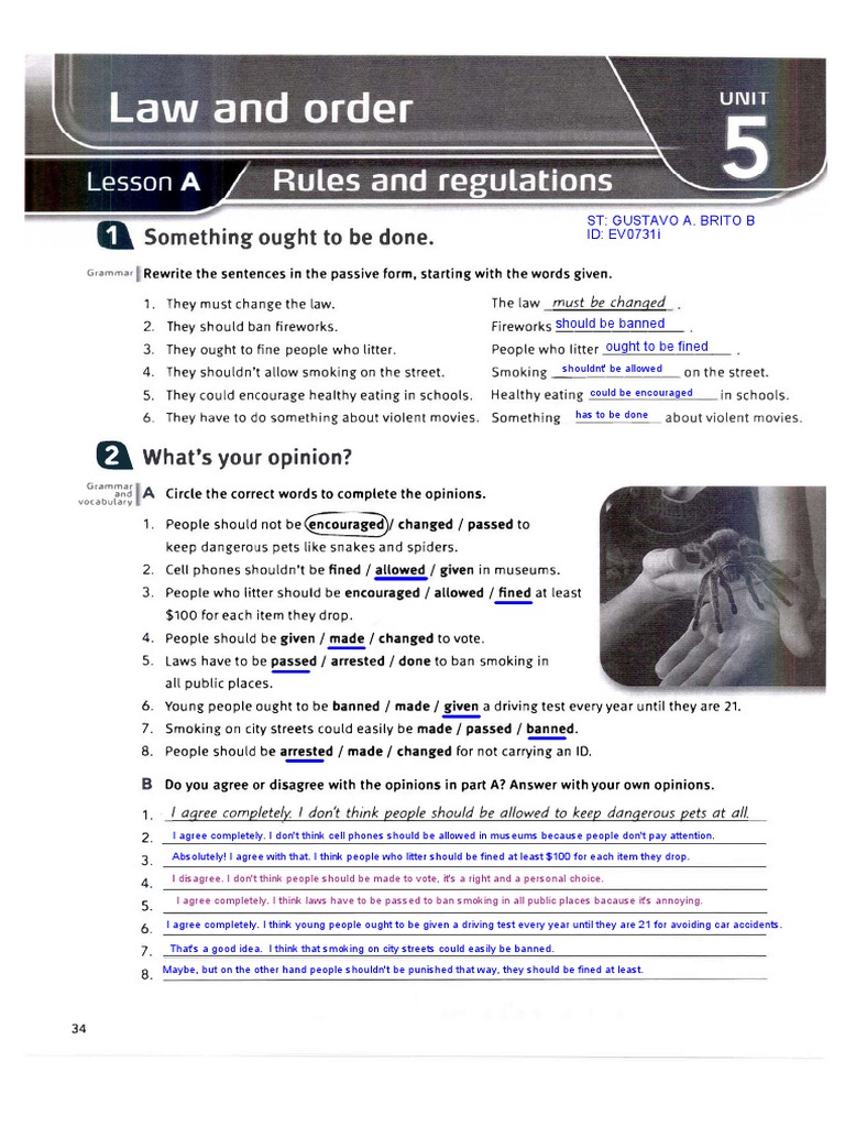 Touchstone 4 Unit 5 Workbook Completed | PDF