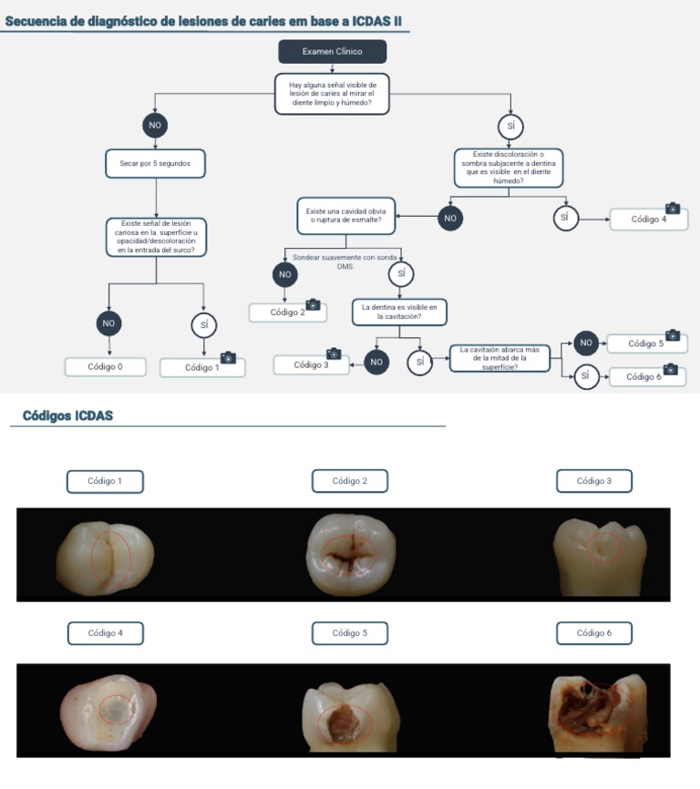 Aula Diagnóstico de Caries ICCMS-ICDAS | PDF | Anatomia animal | Cuidado de la salud