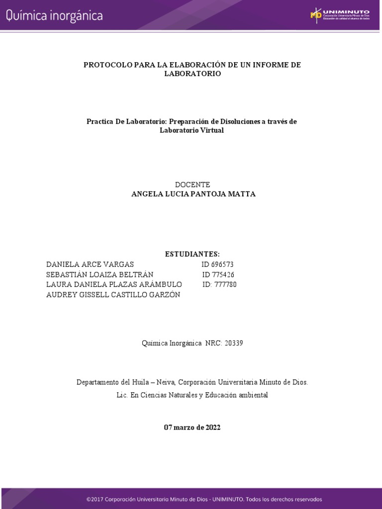 Protocolo para La Elaboracion Informe Laboratorio Act3 | PDF