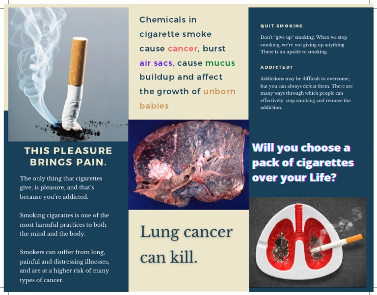 Biology Smoking Leaflet | PDF