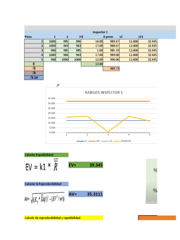 R&R Basculas | PDF | Observación | Gestión de tecnología de la información